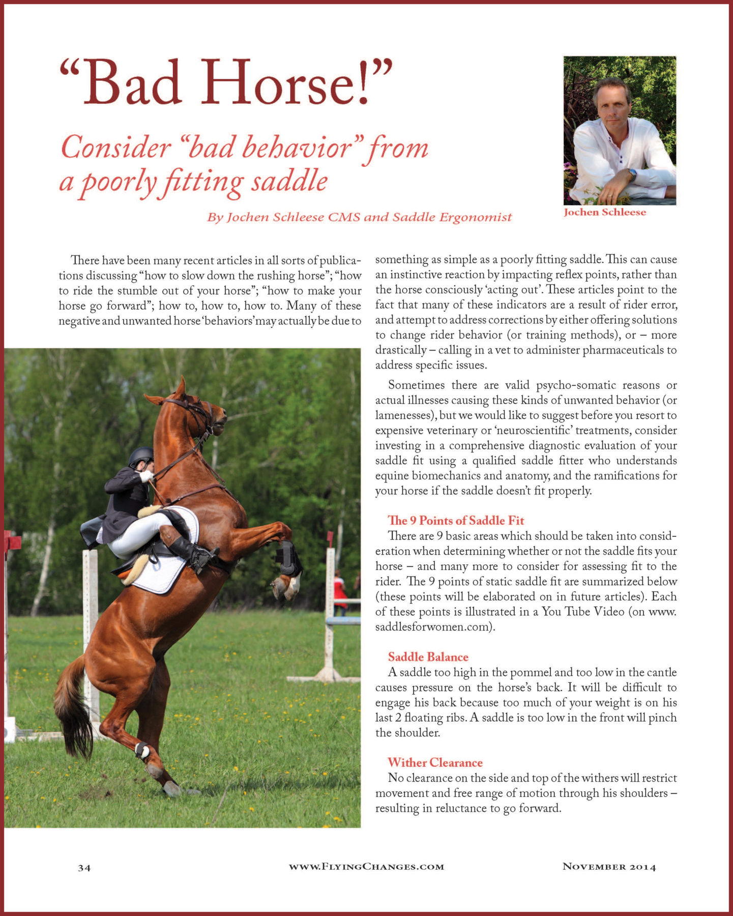 'Bad Horse!' - Consider Bad Behaviour From A Poorly Fitting Saddle ...