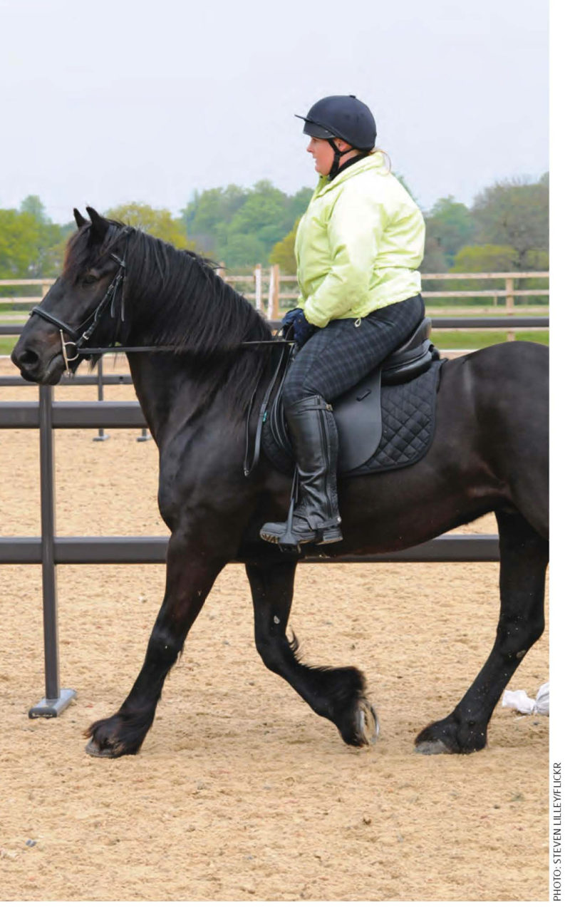 Saddle Fit and the Heavier Rider • Schleese