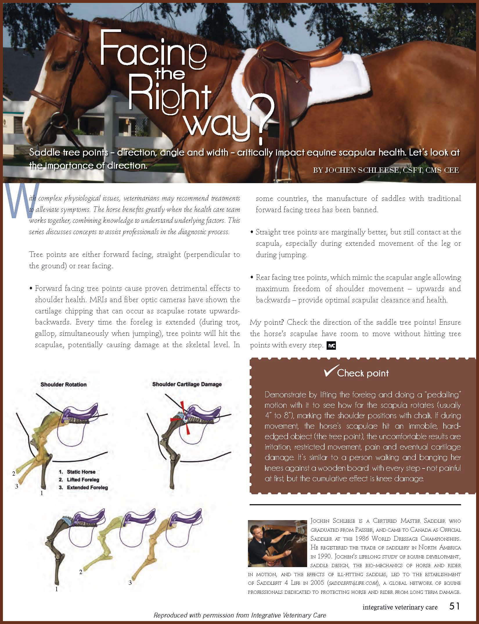 Facing the Right Way? Saddle tree points - direction, angle and width ...