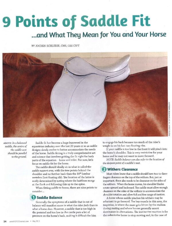 9 Points of Saddle Fit... and What They Mean for You and Your Horse ...