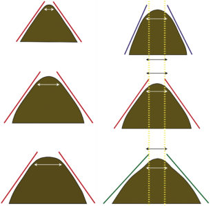 Saddle Fit and Tree Angle and Width - Tips #8-9 • Schleese
