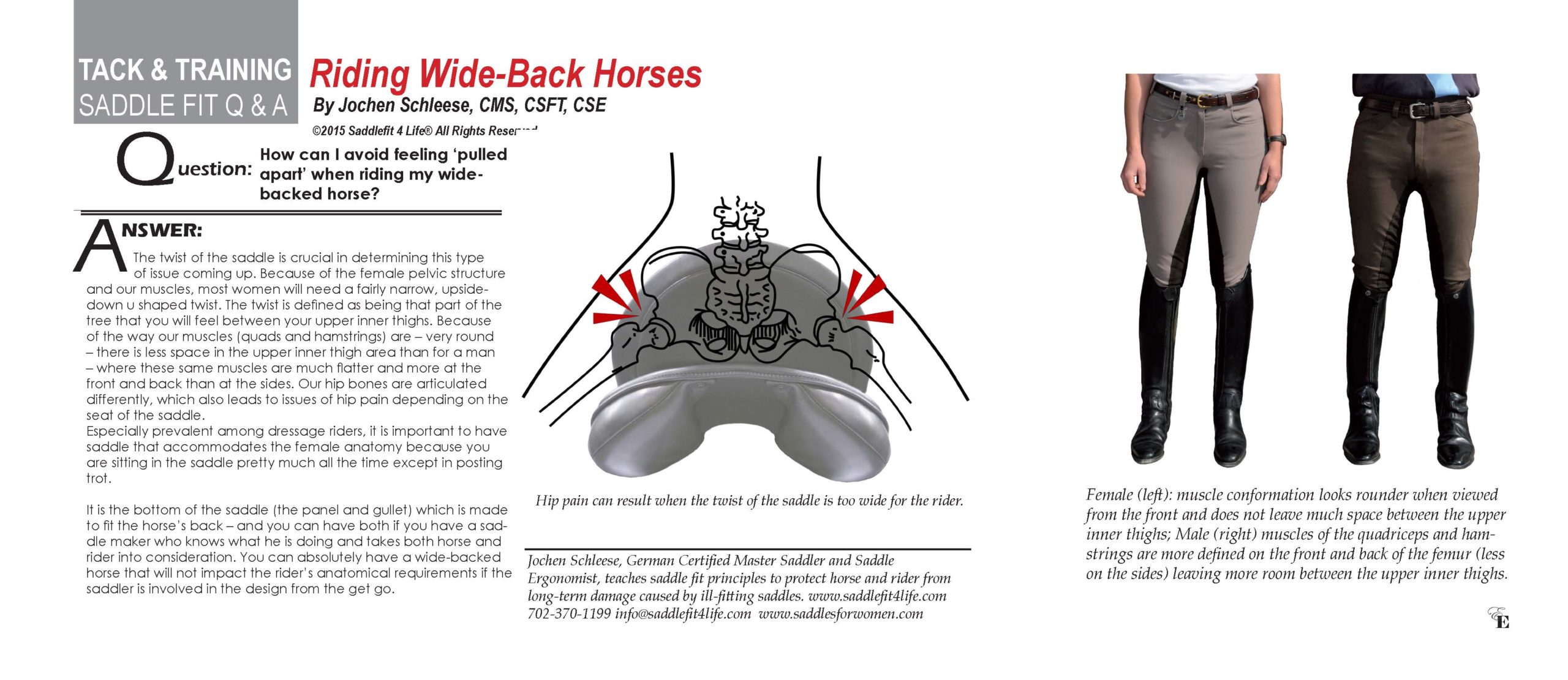 Riding Wide-Backed Horses • Schleese