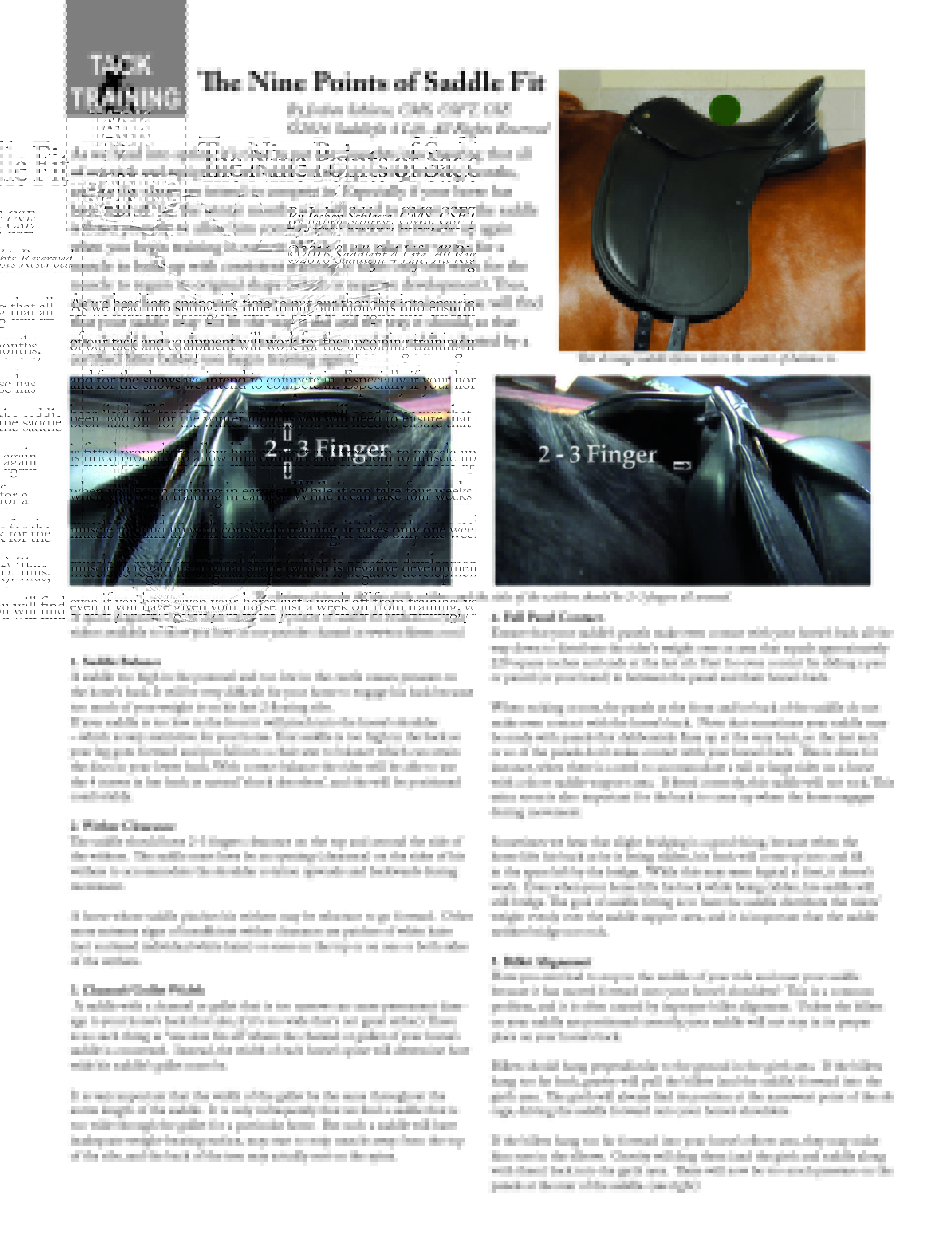 The 9 Points of Saddle Fit • Schleese