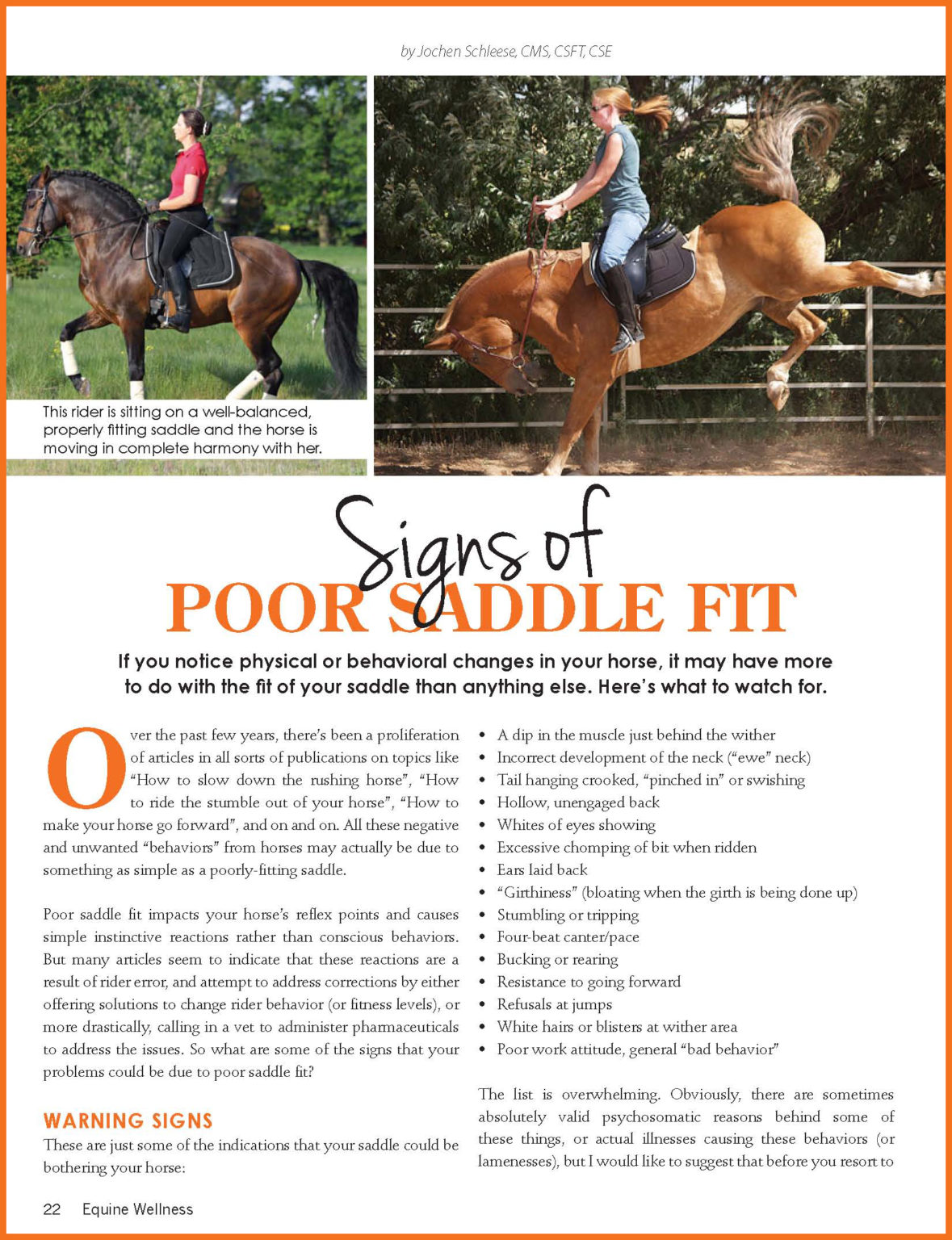 Signs of Poor Saddle Fit • Schleese