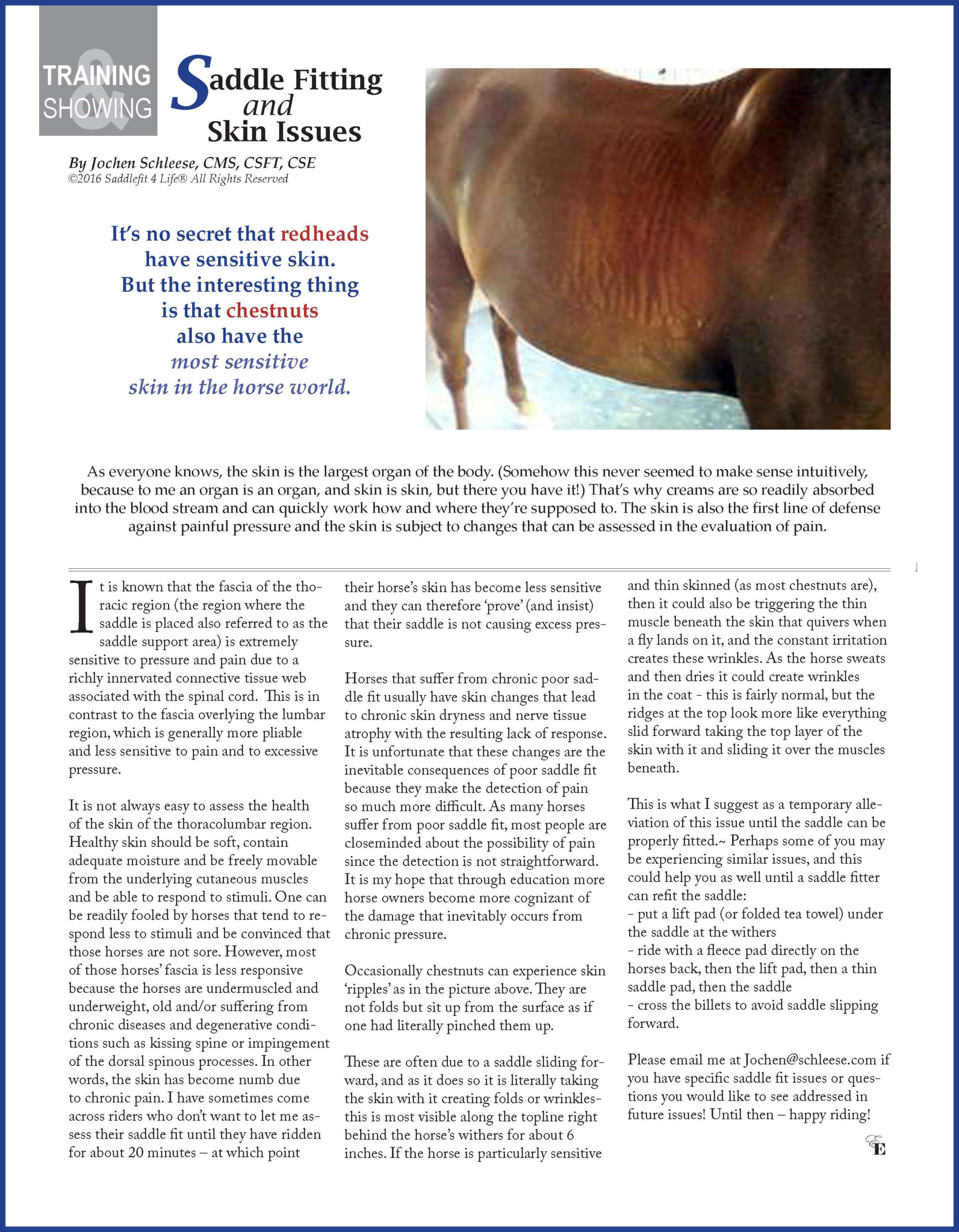 Saddle Fitting and Skin Issues • Schleese