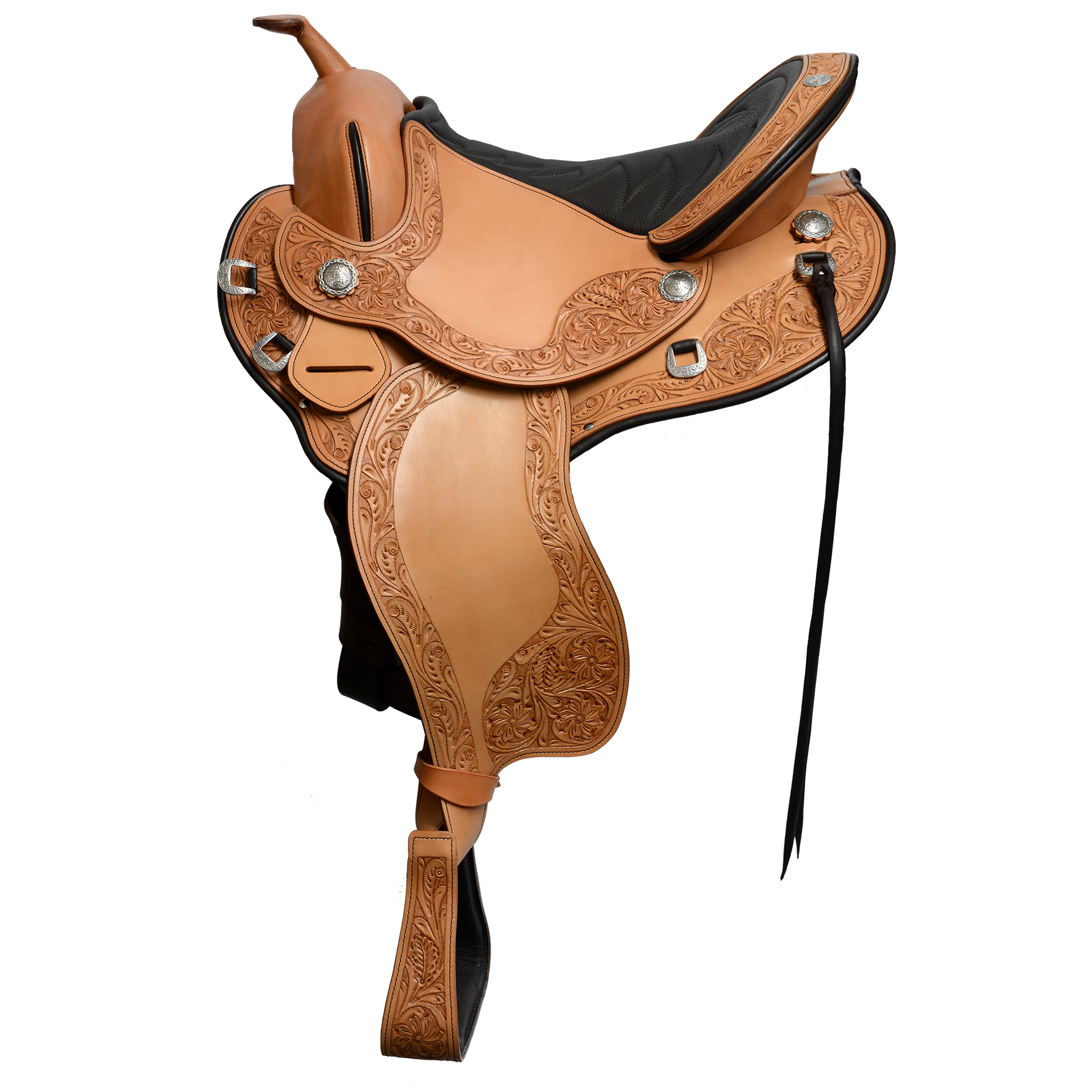 Cadence - Western Dressage - Schleese