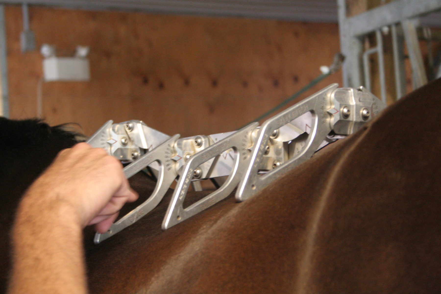 9 Fit Tips For Western Saddles • Schleese