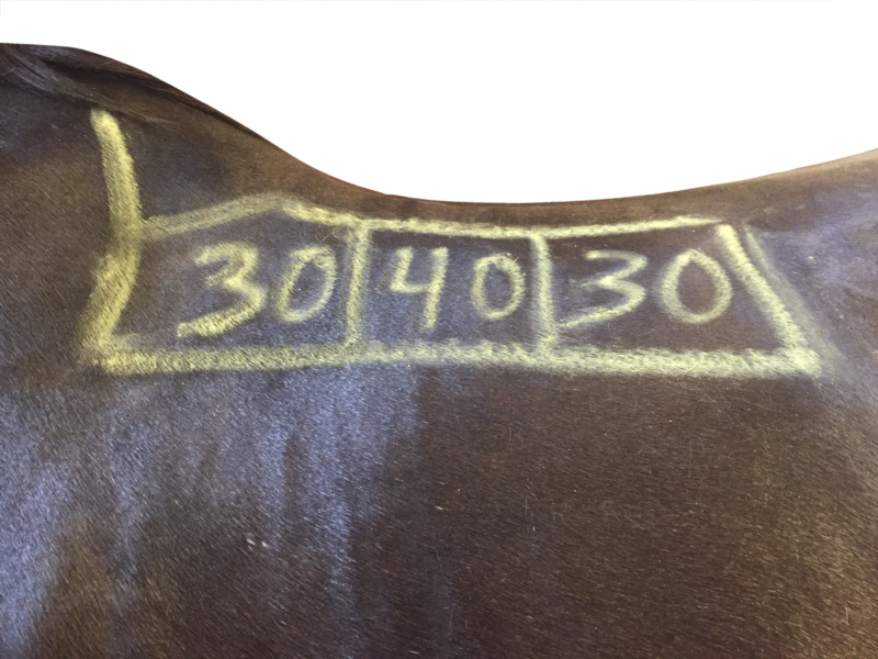 Development of the PSI Panel System • Schleese