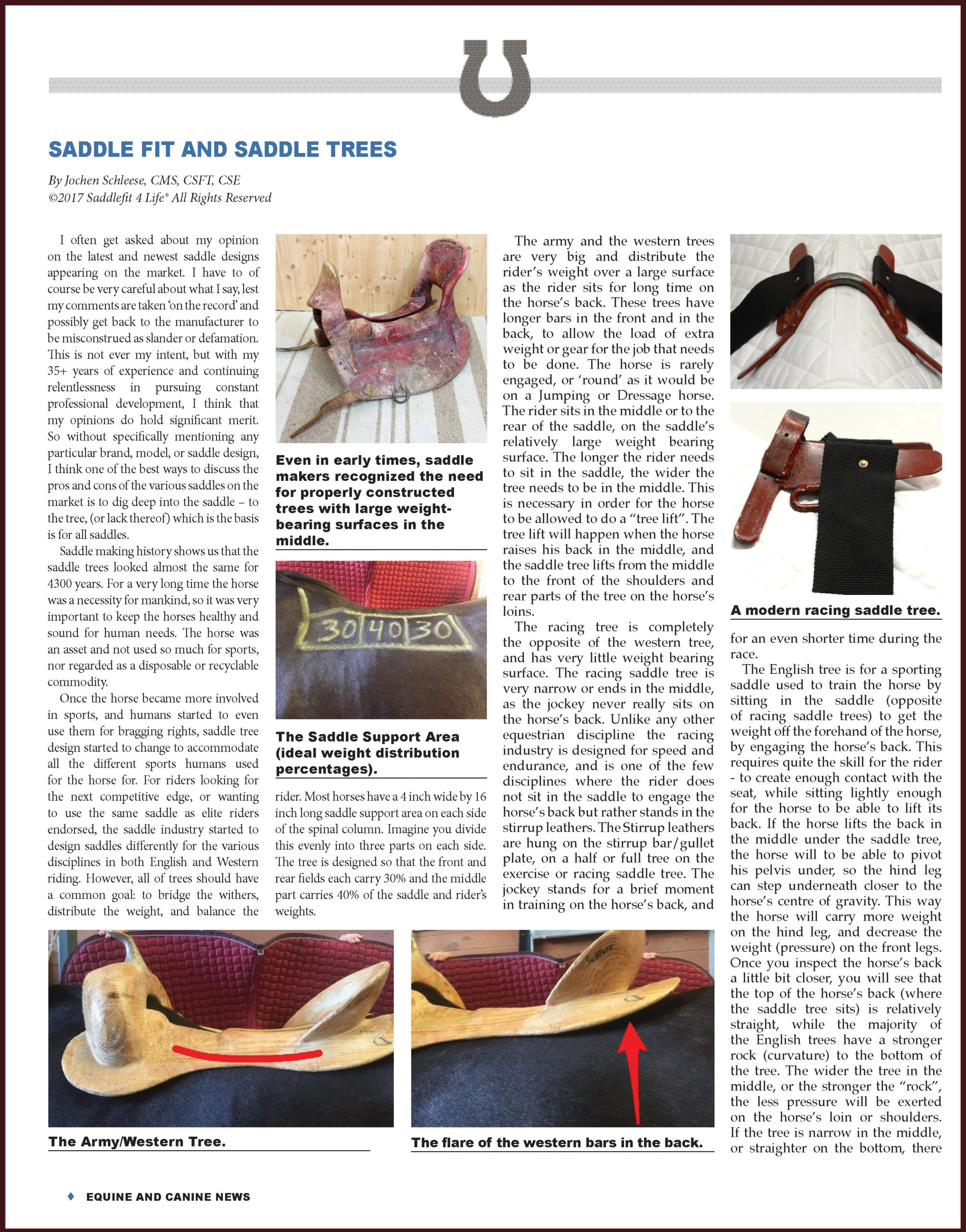 Saddle Fit and Saddle Trees • Schleese