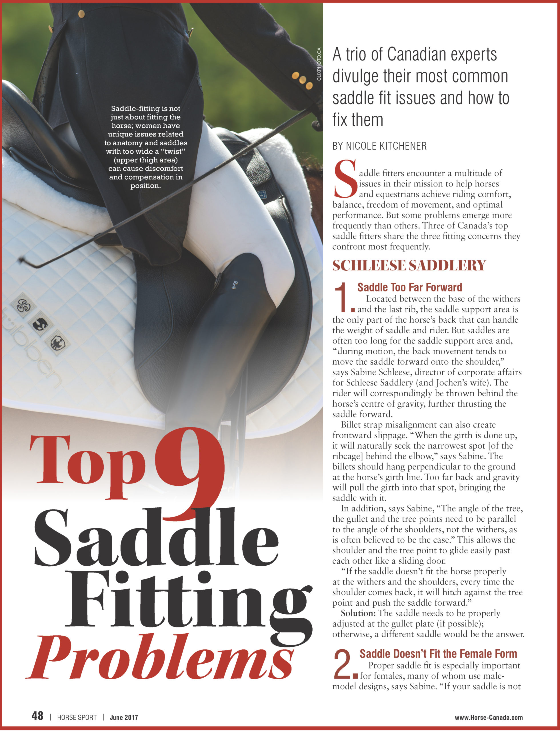 Top 9 Saddle Fitting Problems (with Schleese Saddlery) • Schleese