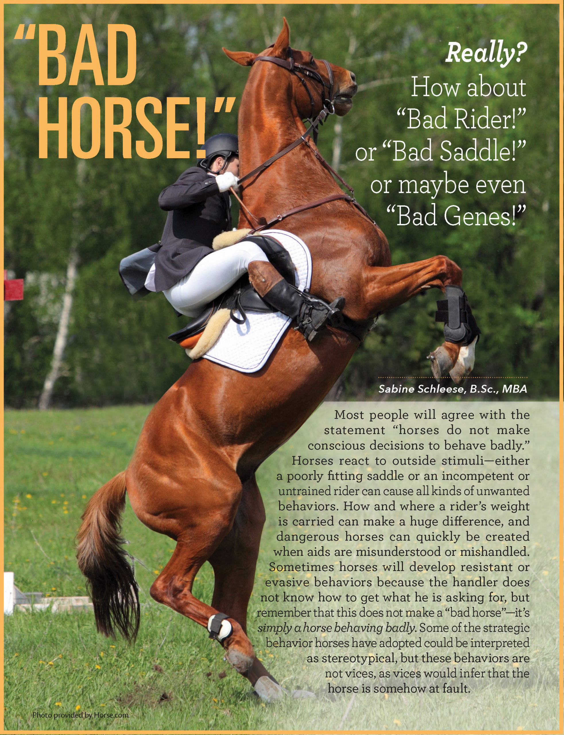 Bad Horse! Really? How About "Bad Rider!" or "Bad Saddle!" or maybe ...