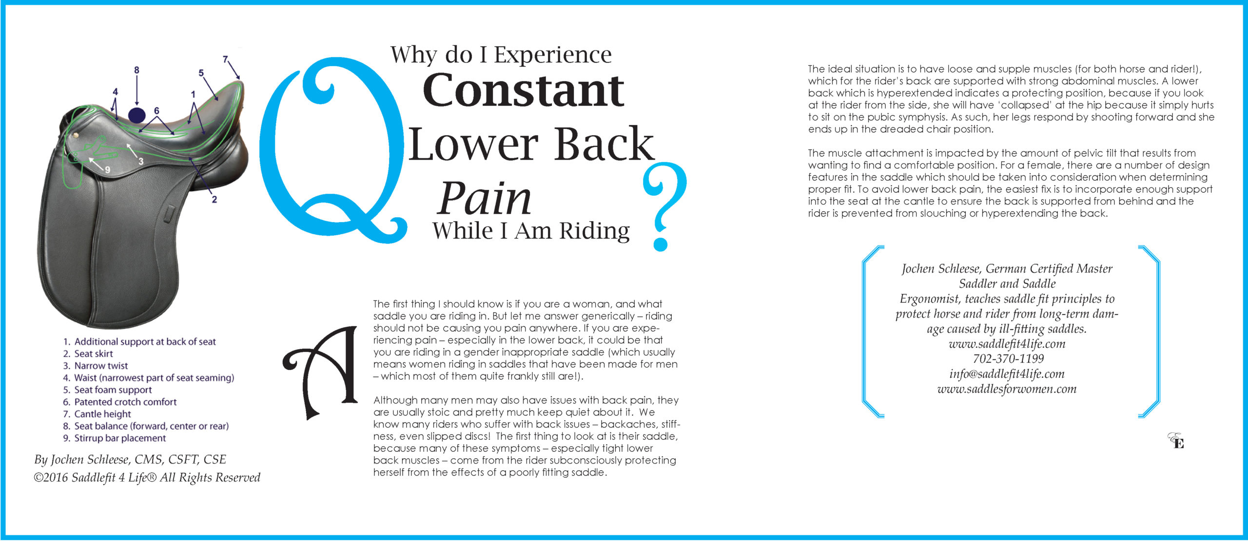 Why Do I Experience Constant Low Back Pain When I Ride? • Schleese