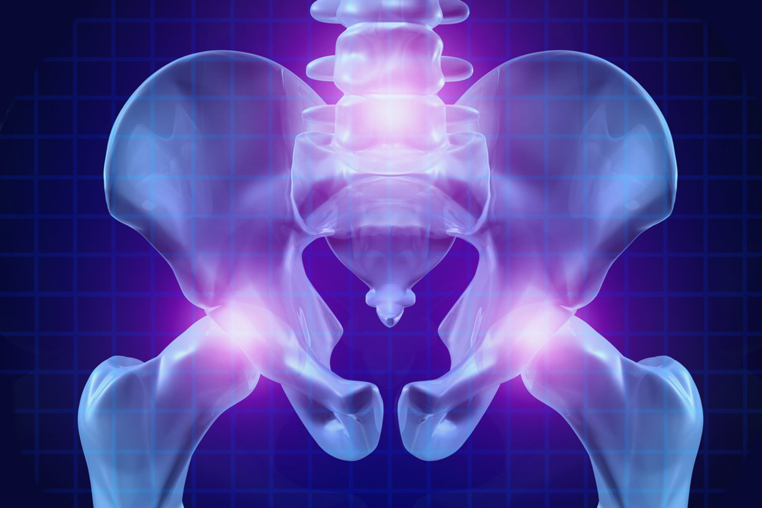 Schleese Saddlery – Where Fit is Everything! • Schleese