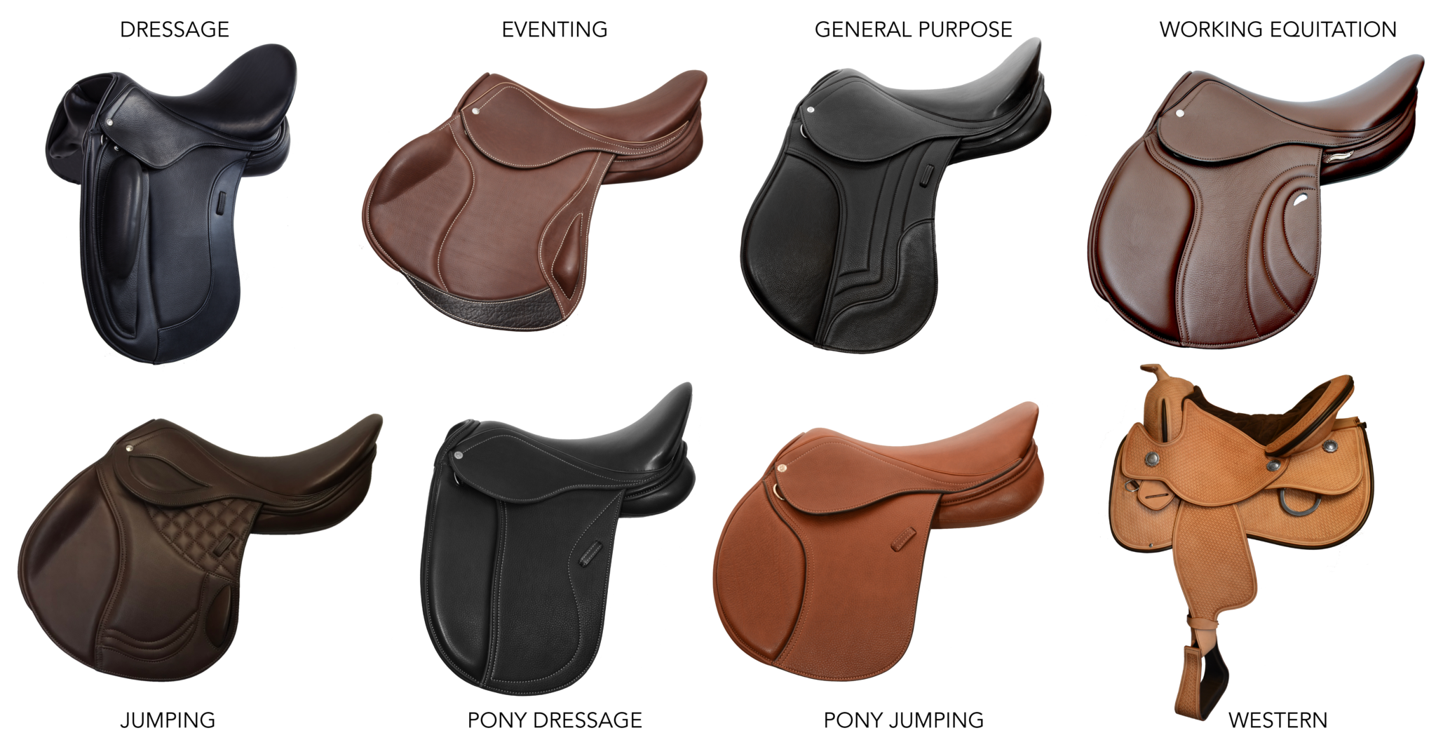 Why Schleese? – The Female Saddle Specialist • Schleese